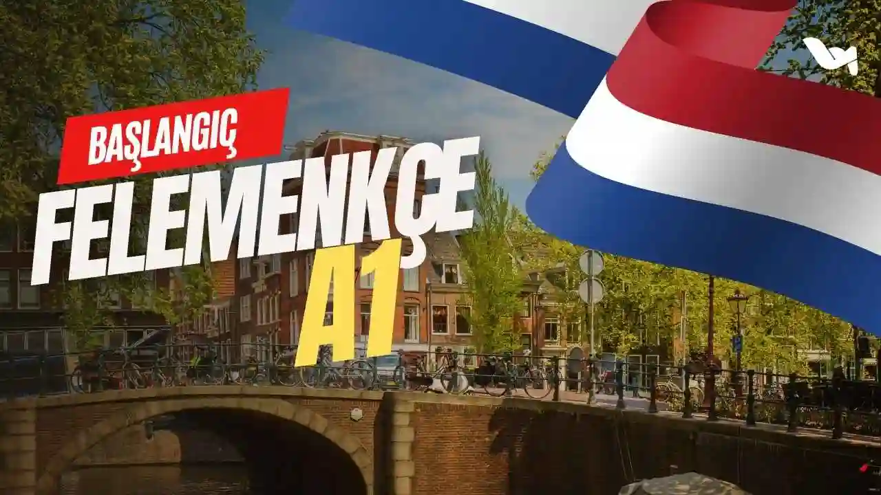 Fielse | Sınırsız Eğitim. Tek Abonelik. Ne Zaman İstersen.